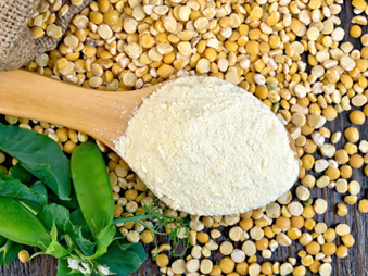 Yellow pea: the trending protein…the European perspective
